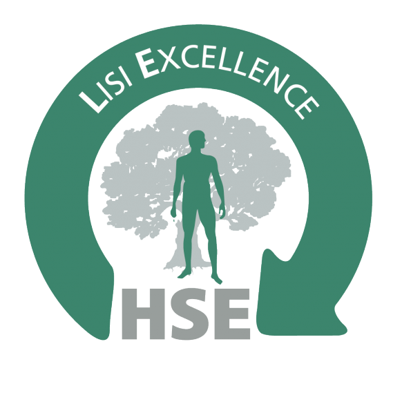 Excellence HSE - LISI AUTOMOTIVE
